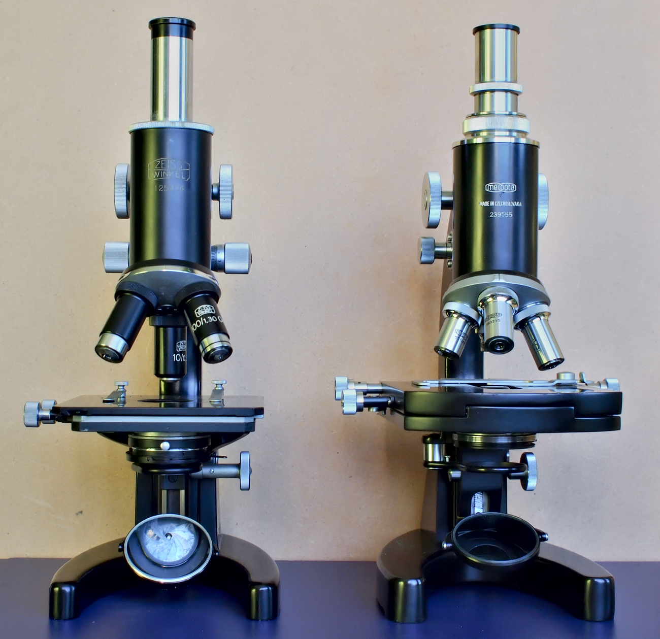 Wich microscope to buy | Microscopy of Nature