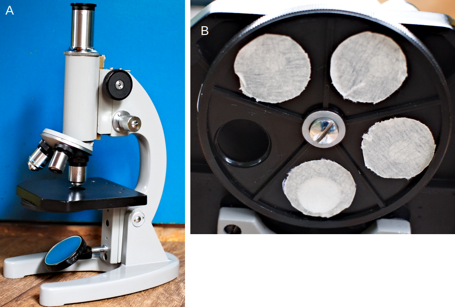 Getting the best out of a basic microscope | Microscopy of Nature